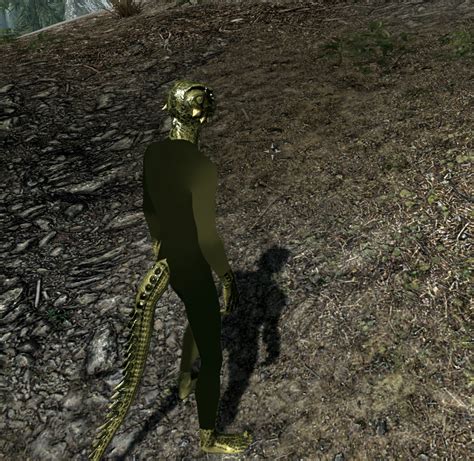Body Texture Invisible After First Attempt At Editing Model Skyrim Technical Support LoversLab