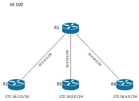 IP Routing And Switching BGP Peer Groups