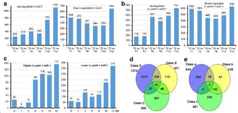 Number Of Differentially Expressed Genes Over The Time Course Of