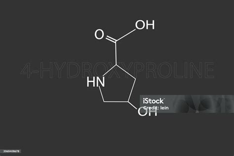4hydroxyproline Molecular Skeletal Chemical Formula Stock Illustration Download Image Now Istock