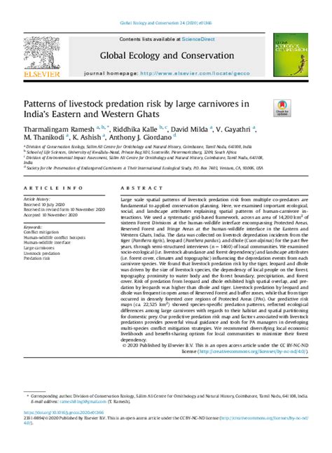 Pdf Patterns Of Livestock Predation Risk By Large Carnivores In Indias Eastern And Western Ghats