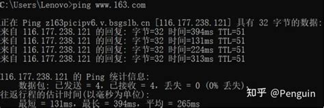 计算机网络ping命令实验报告 知乎