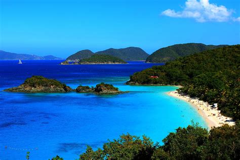 St John Usvi Trunk Bay
