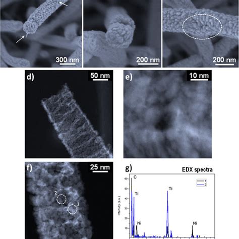Zno 3d Nanotubes Ac Sem Characterization Of Different 3d Nanotubes