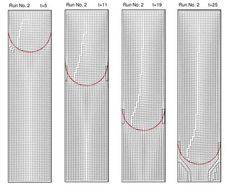 Simulation Results Of Fibre Orientation With The Time Evolution In The