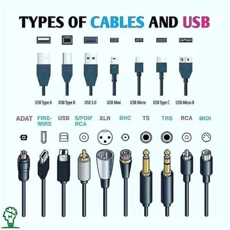 What Are The Different Computer Cable Types You Need To Know Artofit