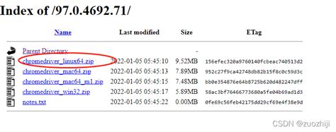 linux下使用selenium模块和chromedriver inflating chromedriver csdn博客