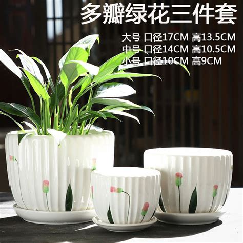 Jual EPICORATION POT KERAMIK TANAMAN HIDUP MOTIF ESTETIKA IMUT Shopee Indonesia
