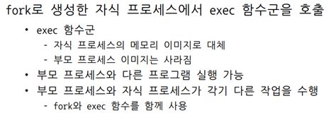 Fork를 사용한 구구단 프로그램 C Linux