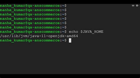 Set Java Home Ubuntu Skinkse