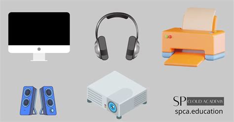 Computer Hardware Output Devices