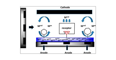 Introduction To Microelectrode Arrays The Site Selective Functionalization Of Electrode