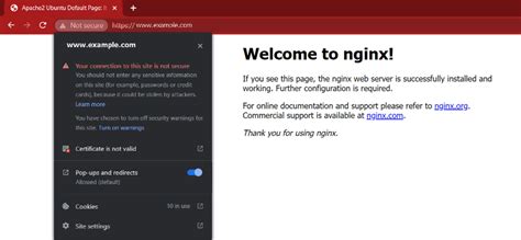 How To Create A Self Signed Certificate On Ubuntu 2404 For Apache And