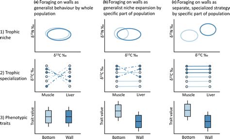 Schematic Overview Of Expected Results Under Different Scenarios A