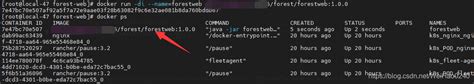 Docker构建java程序镜像javalibrary镜像 Csdn博客