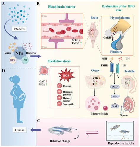 Toxics An Open Access Journal From Mdpi