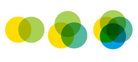 Venn Diagram With Overlapping Circles Infographic Vector Image