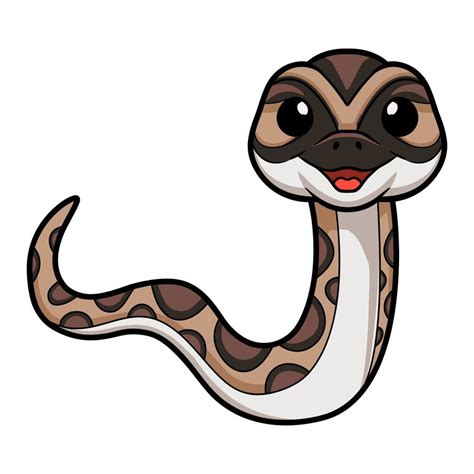 Cute Python Molurus Bivittatus Cartoon 20126756 Vector Art At Vecteezy