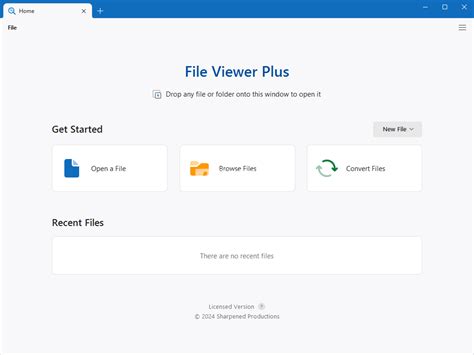 File Viewer Plus破解版 File Viewer Plus 5 2 0 20 激活版 闪电软件园