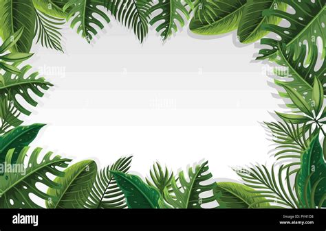 A Beautiful Leaf Frame Illustration Stock Vector Image And Art Alamy