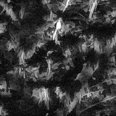 Industries Tom Curtis