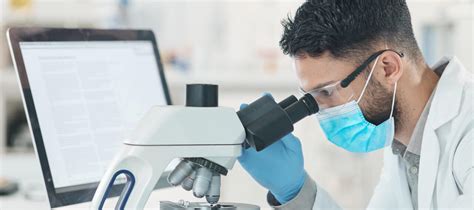 Immunohistochemical Staining Ihc Staining Ihc Prs