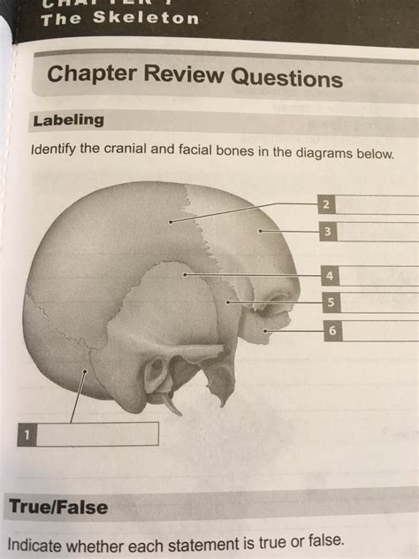 Lab 7 Diagram Quizlet
