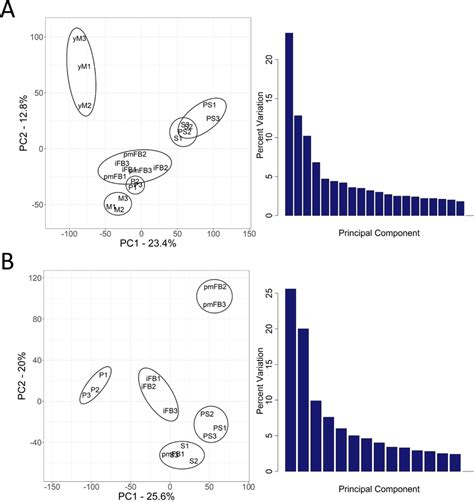 Principal Component Analysis Pca Left And Scree Plot Right For