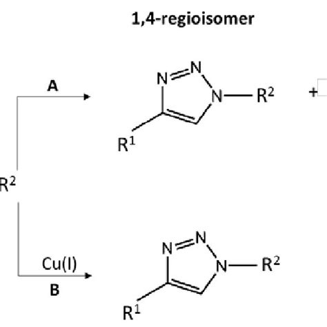 The 1 3 Dipolar Cycloaddition Between Azides And Alkynes A Download Scientific Diagram