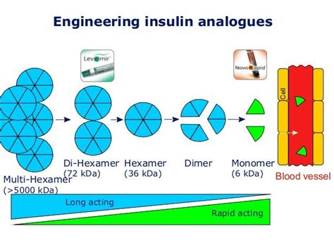 Modern Insulin An Update