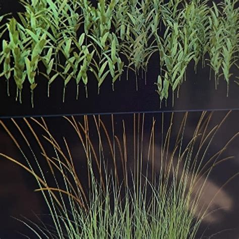 Free Pro Grade Grass Models Rblender