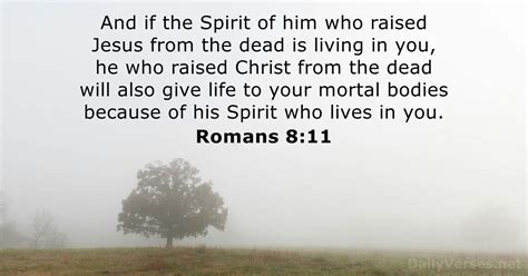 December 16 2025 Bible Verse Of The Day