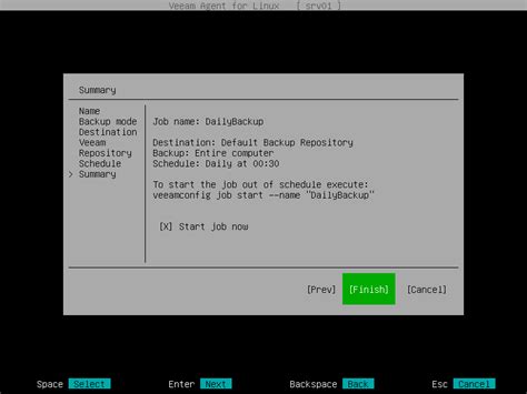 Step 10 Review Backup Job Settings Veeam Agent For Linux User Guide