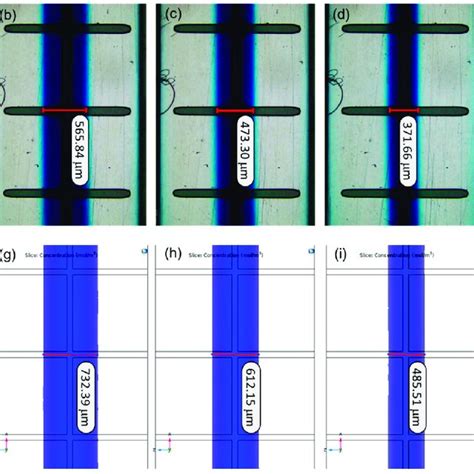 Schematic Diagram Of Designed Hydrodynamic Focusing Microfluidic Chip