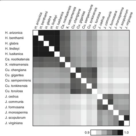 Similarity Plot Based On Pairwise Comparison Of Plastomes From The