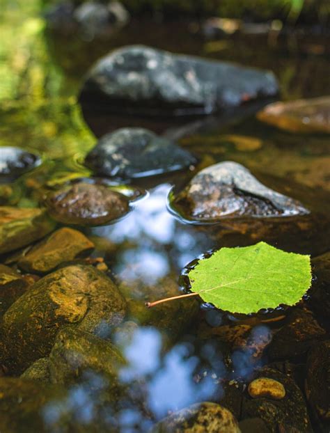 Jaylis Naturkosmetik Sanft Wirksam Ehrlich Jaylisde