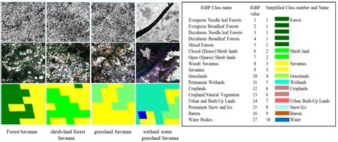 remote sensing free full text multi label remote sensing image land cover classification