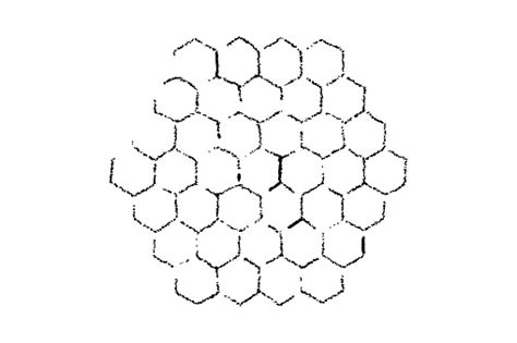 프로 폴리스 벌집 스케치 손으로 그린 벌집 꿀벌 왁스 꿀벌 꿀과 프로 폴리스 낙서 스톡 벡터 일러스트 레이 션 벌에 대한 스톡