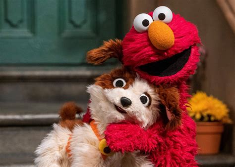 Download Happy Face Of Cartoon Elmo Wallpaper