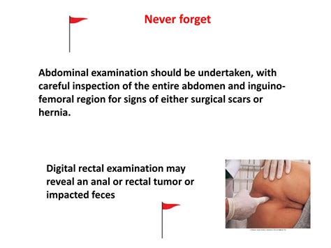 Intestinal Occlusion Pptx