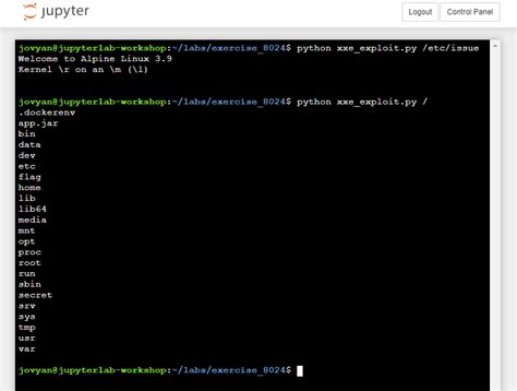 Advanced Xxe Exploitation