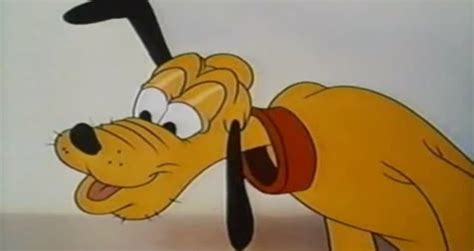 La Nota Triste De Pluto Videos Metatube