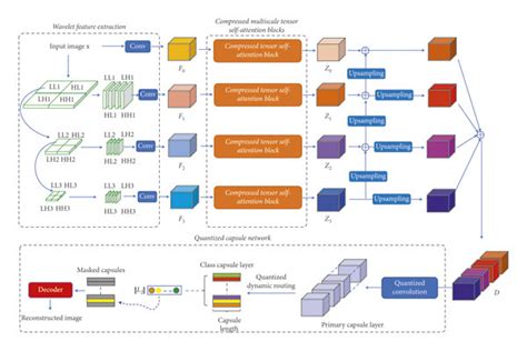 The Architecture Of Cwtacapsnet Cwtacapsnet Involves The Wavelet Download Scientific Diagram