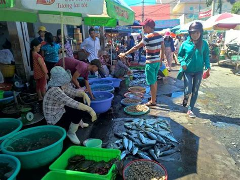 Du Lịch Vũng Tàu Khám Phá Chợ Xóm Lưới Mua Và ăn Hải Sản