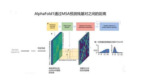 Alphafold2原理、安装及蛋白质结构详解 Csdn文库