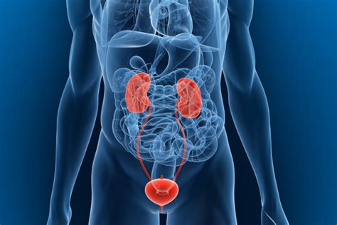 Laparoscopic Partial Nephrectomy In Renal Cancer Treatment Fv Hospital