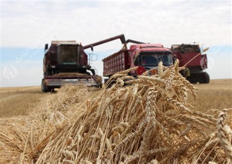 Сельскохозяйственное предприятие в Алтайском крае 2 000 Га в собственности в Новосибирске