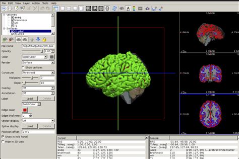 Introduction Brainlife Documentation