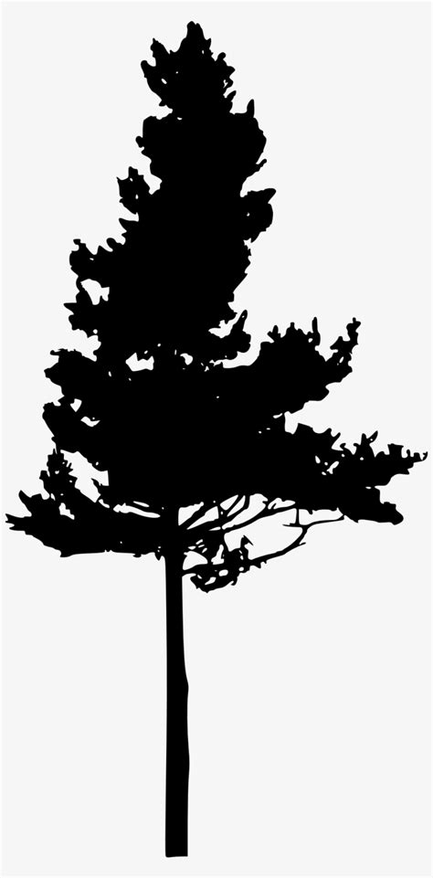 Tree Black Png 53 Koleksi Gambar