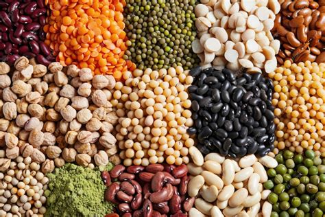 Dried Beans Assorted Varieties Of Dry Beans And Peas For Vegetarian